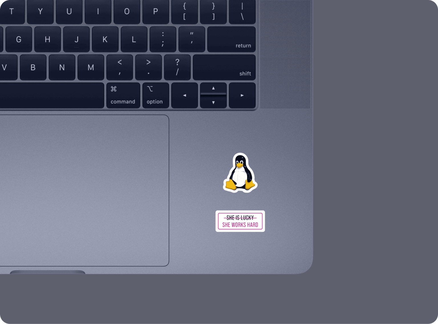 WordCamp Nepal 2026 Swag Showcase: A Little Something for You ...